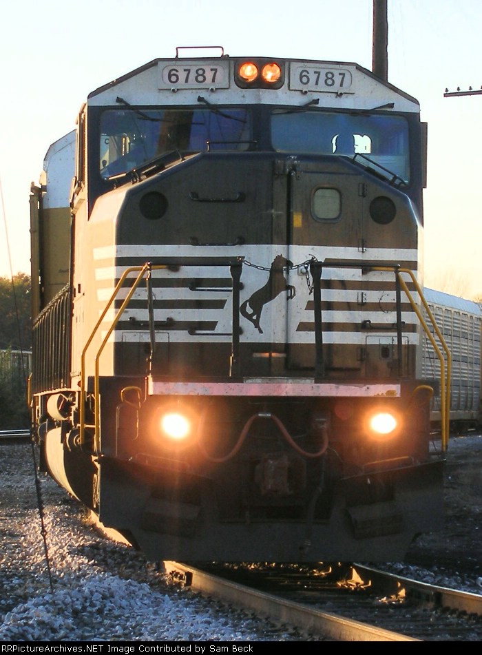 NS 6787
